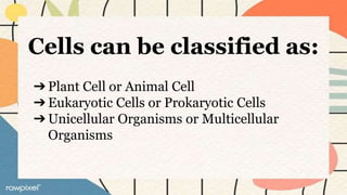 Cell Classifications.pptx | Biological Sciences | Science