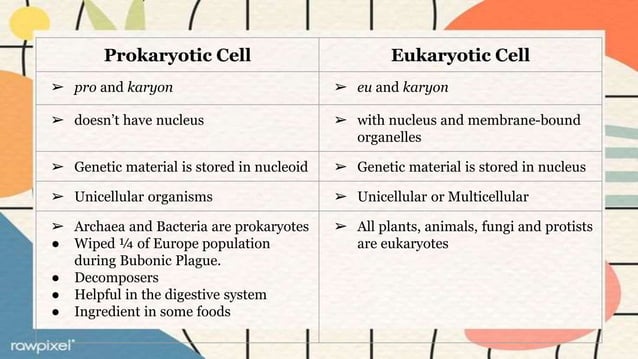 Cell Classifications.pptx | Biological Sciences | Science