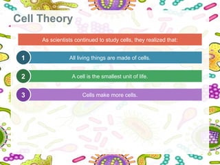 Types of cells cells types cells typesss | PPTX