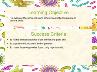 Types of cells cells types cells typesss | PPTX