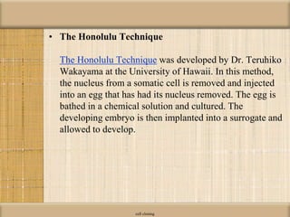 Cell cloning, animal cell culture | PPT