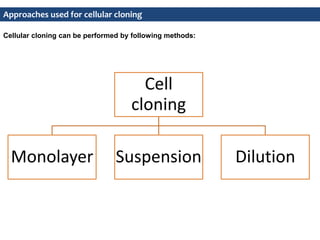 11. Cell cloning | PPT