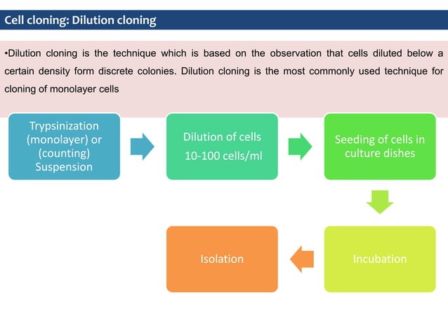 11. Cell cloning | PPT