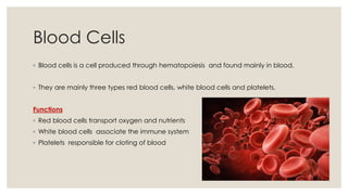 cell cluster. pdf Each part of human body is made up of millions of ...