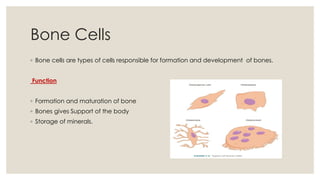 cell cluster. pdf Each part of human body is made up of millions of ...