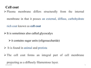 Cell coat | PPTX