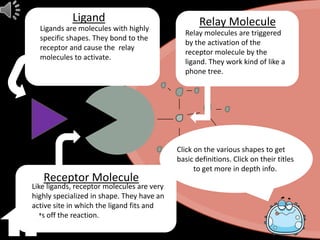 Cell communication | PPTX