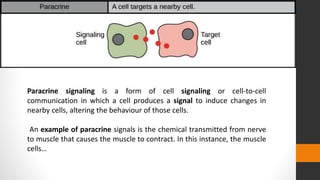 cellcommunication-201015070954.pdf | Free Download