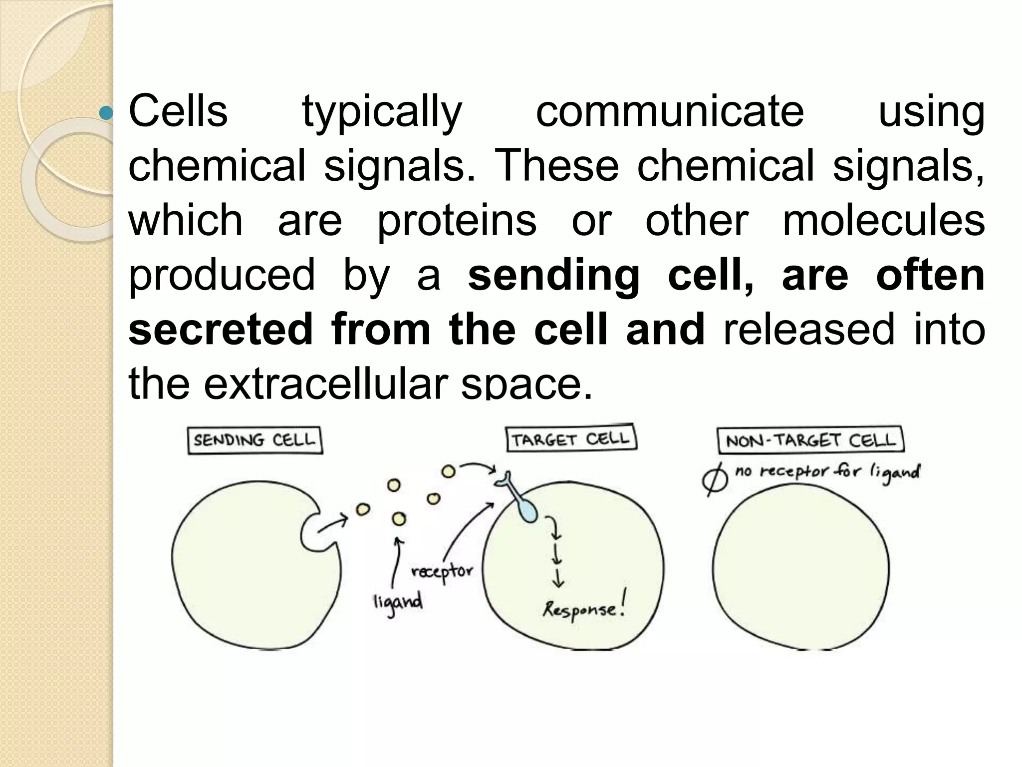 Cell Communication.pptx