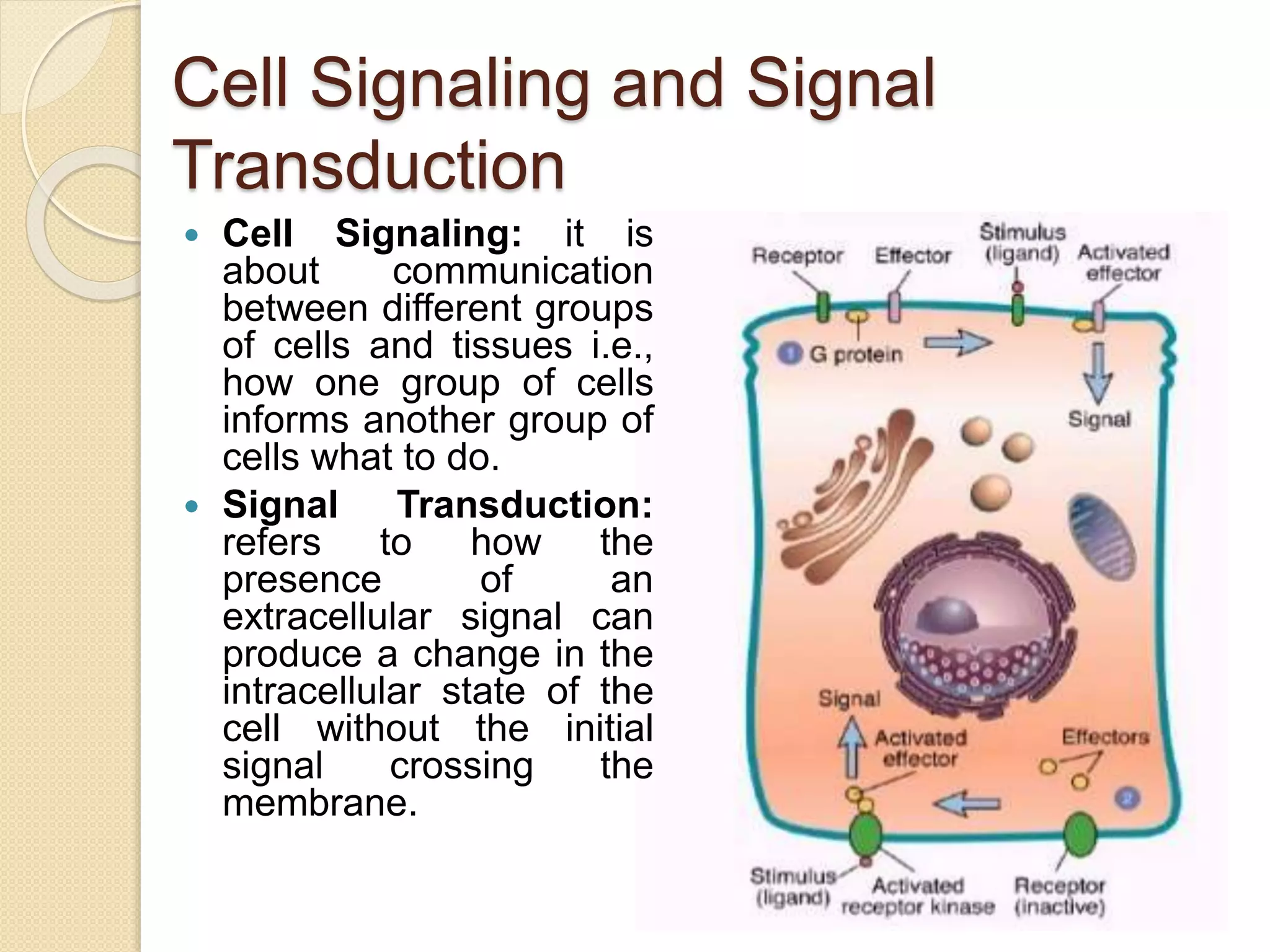 Cell Communication.pptx
