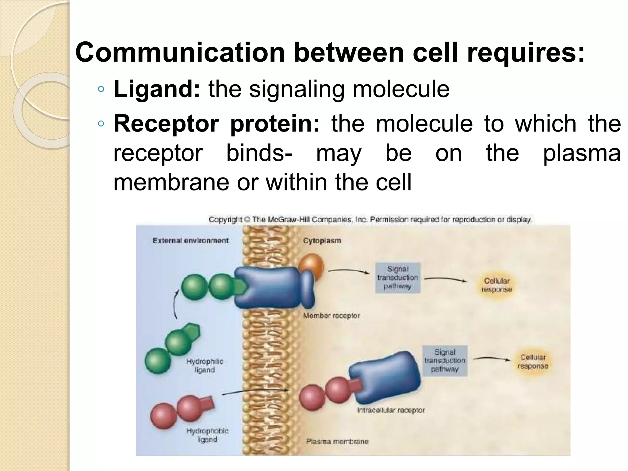Cell Communication.pptx