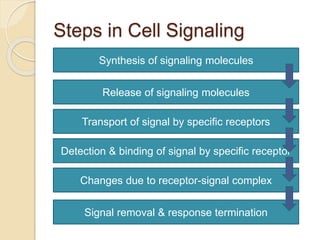 Cell Communication.pptx