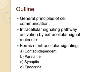 Cell Communication.pptx