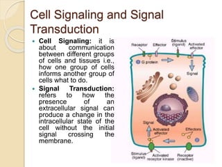 Cell Communication.pptx