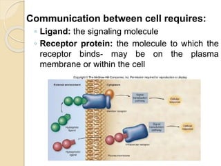 Cell Communication.pptx