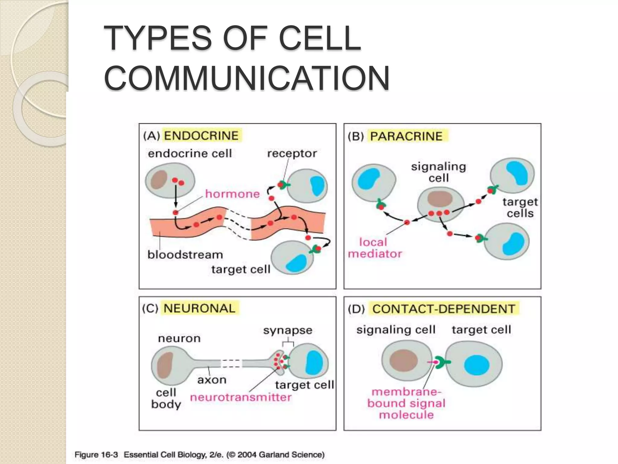 Cell communication and signaling | PPTX