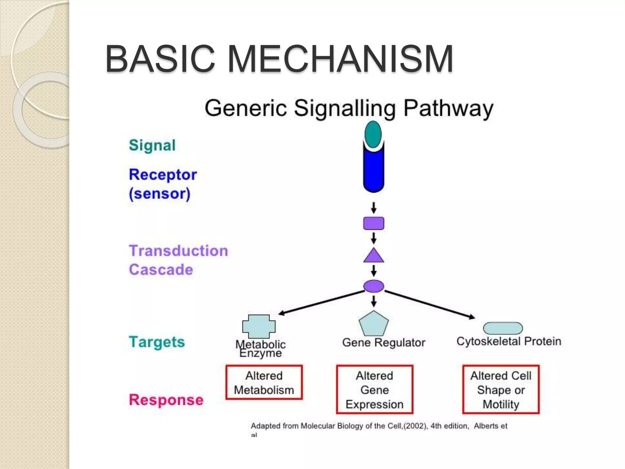 Cell communication and signaling | PPTX