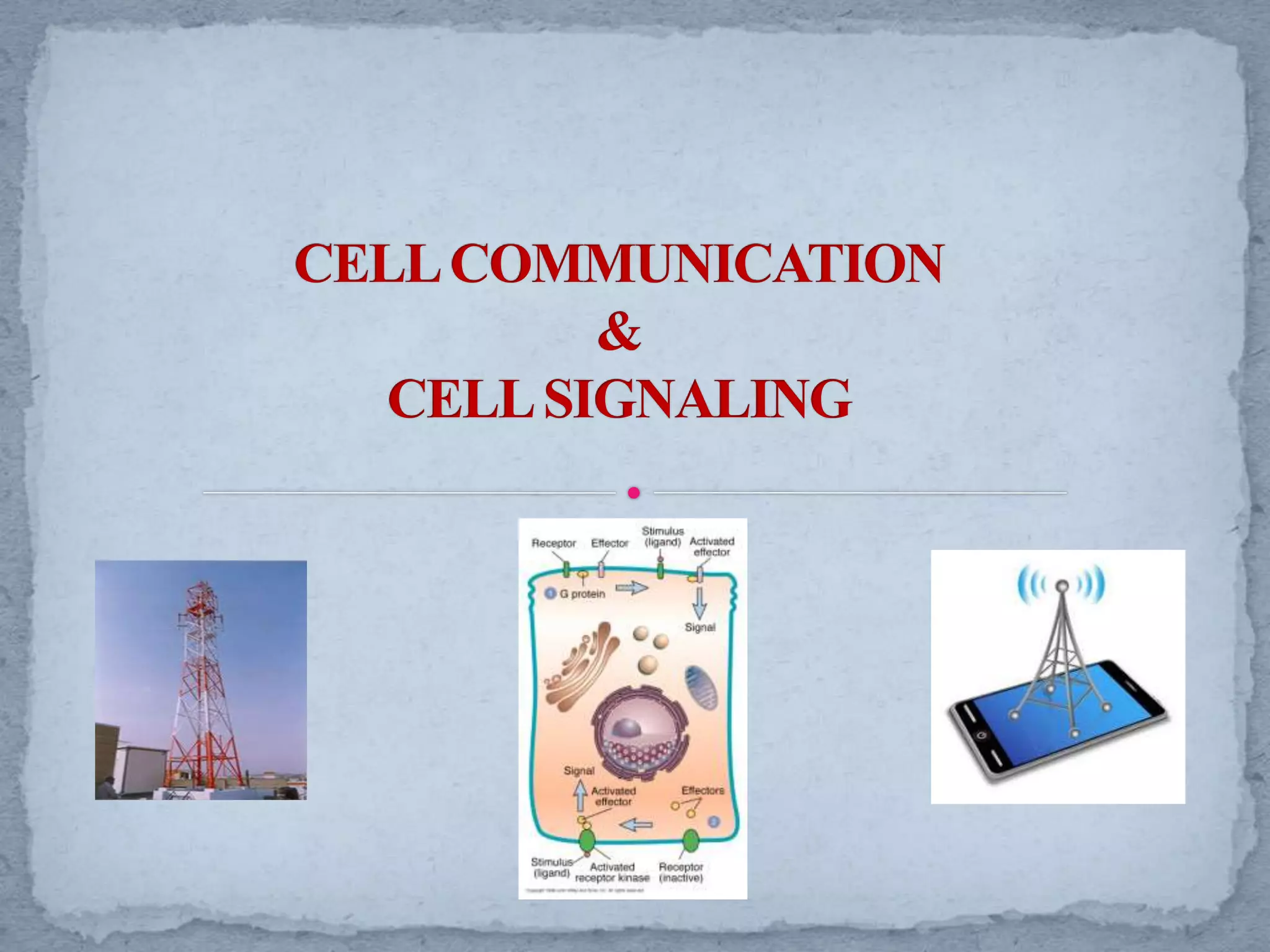 Cell communication and signaling ,cell cycle | PPTX