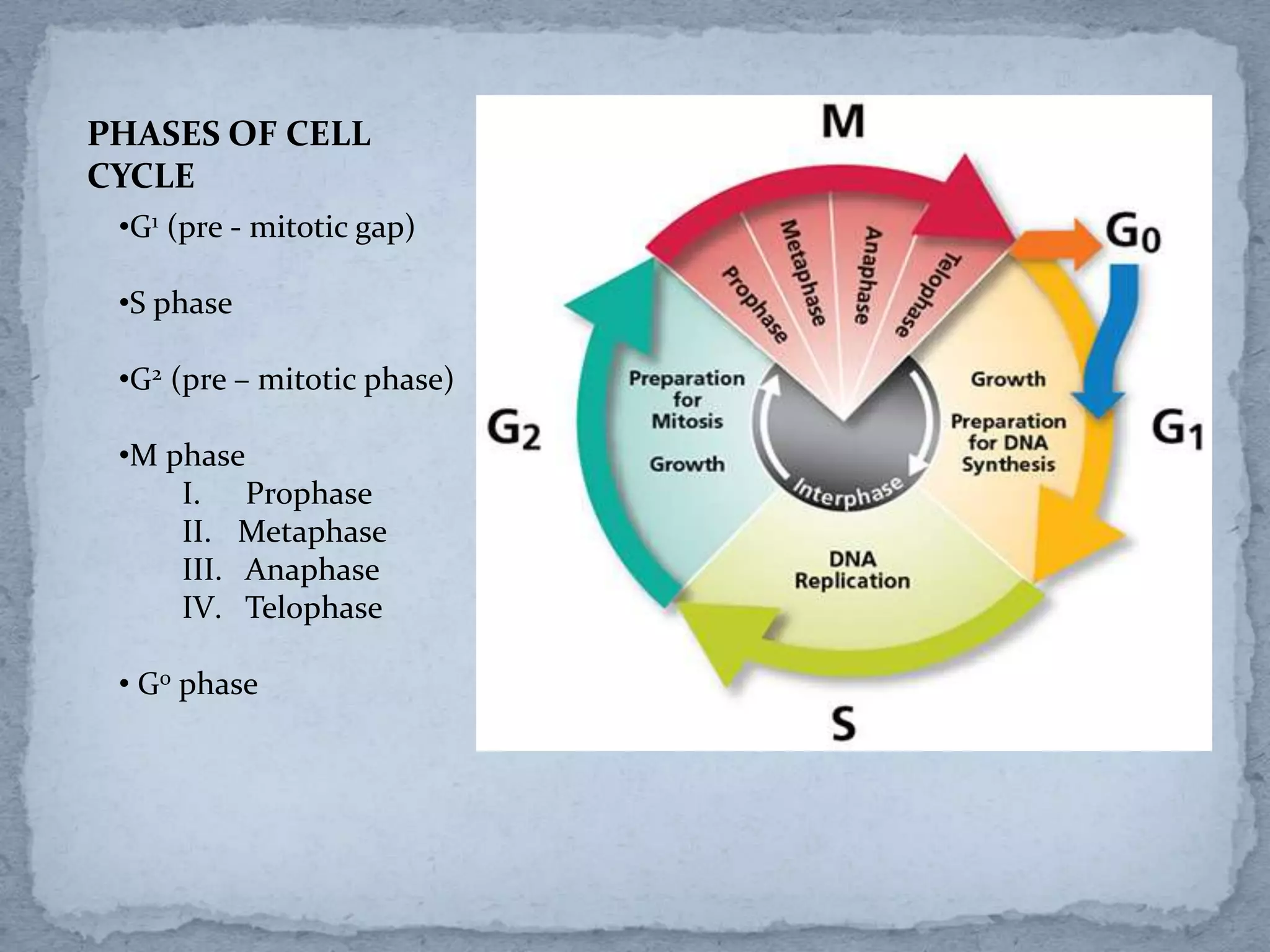 Cell communication and signaling ,cell cycle | PPTX