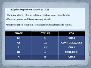 Cell communication and signaling ,cell cycle | PPTX