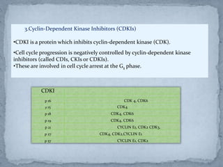 Cell communication and signaling ,cell cycle | PPTX