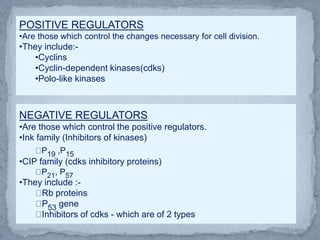 Cell communication and signaling ,cell cycle | PPTX