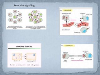 Cell communication and signaling ,cell cycle | PPTX