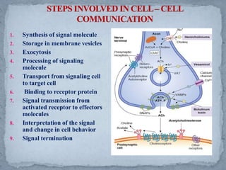 Cell communication and signaling ,cell cycle | PPTX