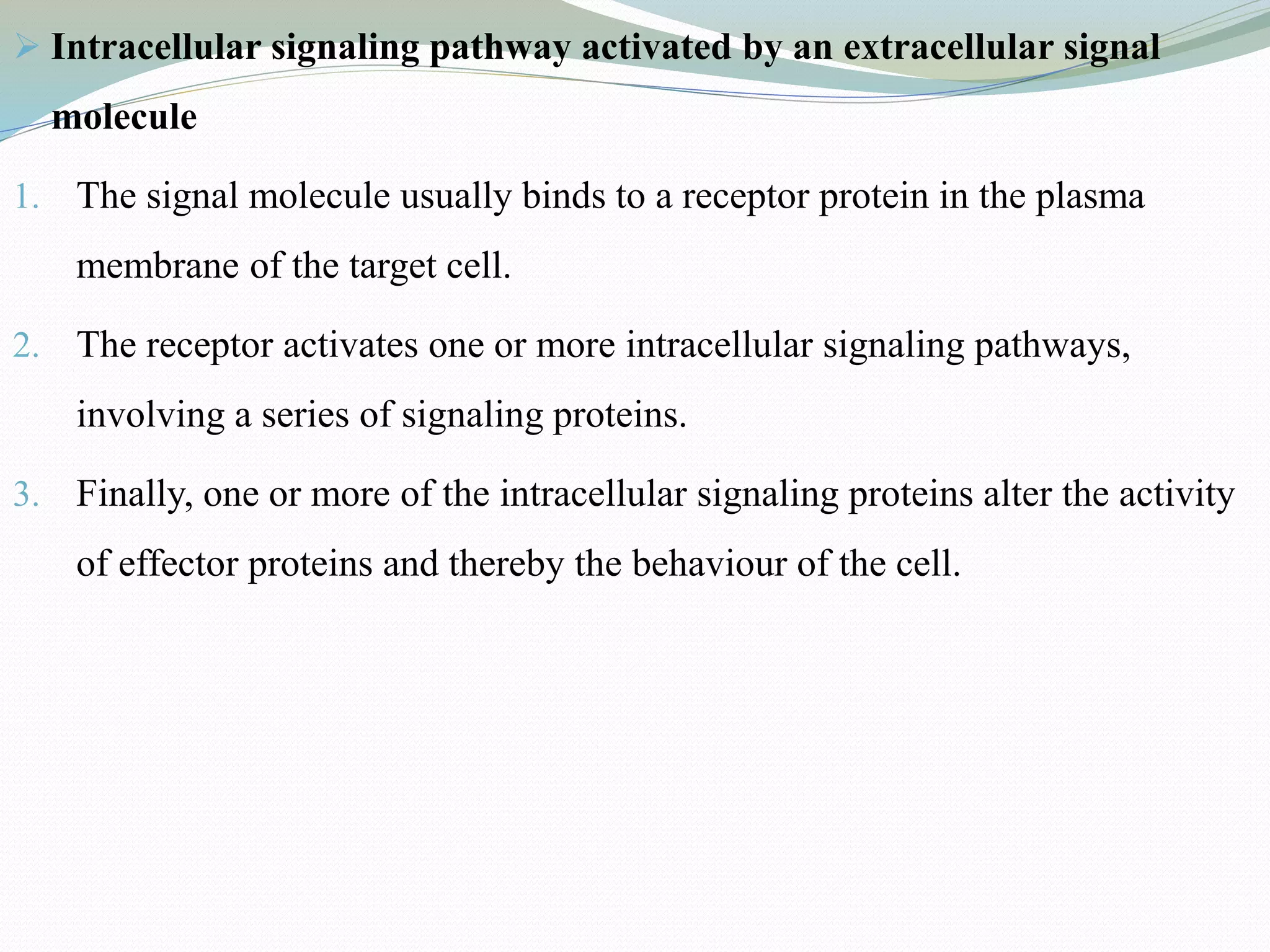 Cell Communication, Cell Junction and Cell Signaling.pptx | Endocrine ...