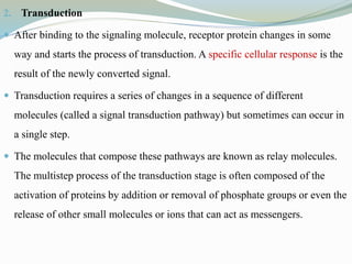 Cell Communication, Cell Junction and Cell Signaling.pptx | Endocrine ...