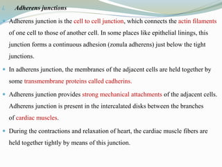 Cell Communication, Cell Junction and Cell Signaling.pptx | Endocrine ...