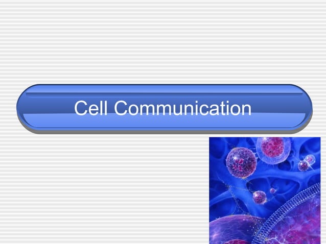 AP Biology Cell communication part 1 | PPT