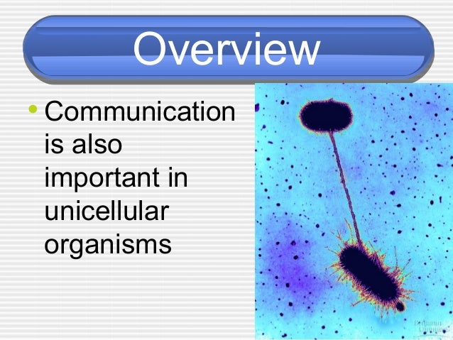 Communications Biology