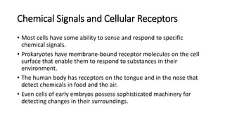 Cell communications in Cell Biology Becker's Textbook | PPTX