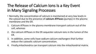 Cell communications in Cell Biology Becker's Textbook | PPTX