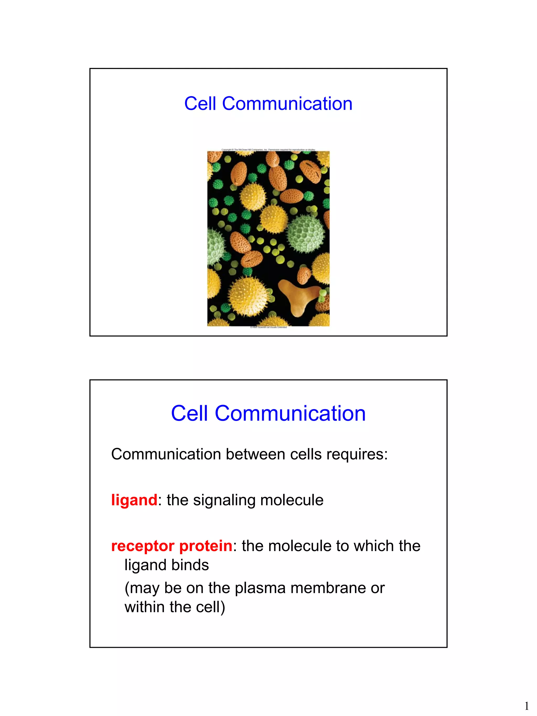 Cell Communication Slides.pdf