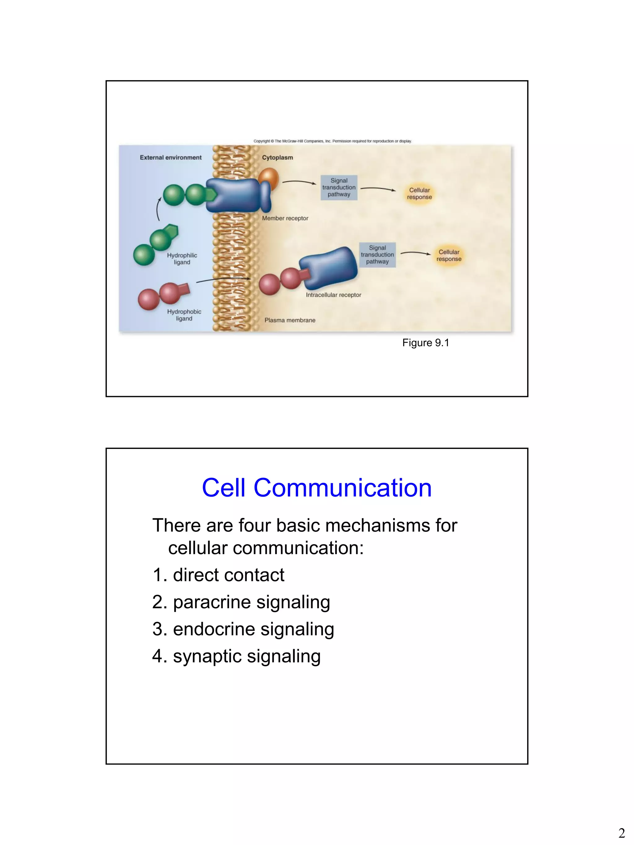 Cell Communication Slides.pdf | Endocrine and Metabolic Diseases ...