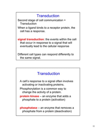 Cell Communication Slides.pdf | Endocrine and Metabolic Diseases ...