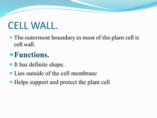 Cell components | PPT
