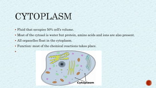 Cell components | PPTX