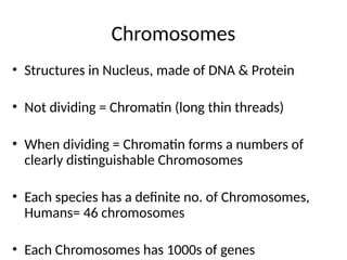 Cell continuity and role of Mitosis in cells | PPT