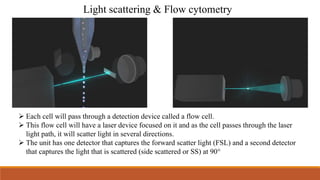 CellCounter_DAE_V0.0.pptx