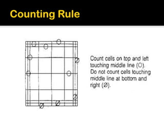 Cell counting | PPTX