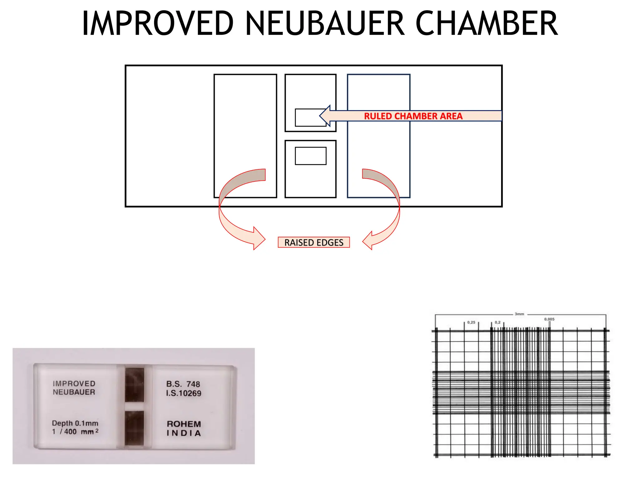 CELL COUNTING.pptx | Blood Disorders | Diseases and Conditions