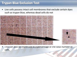 cell counting and viability-170912035622.pptx