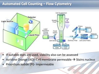 cell counting and viability-170912035622.pptx
