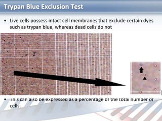 Cell counting and viability | PPTX