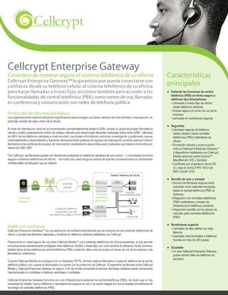 Cellcrypt Brochure | PDF
