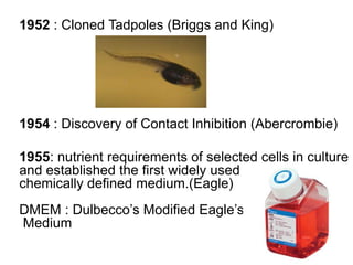 Advanced Cell Culture Lecture 1 - CBNU | PPTX