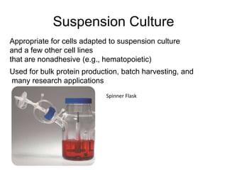 Advanced Cell Culture Lecture 1 - CBNU | PPTX